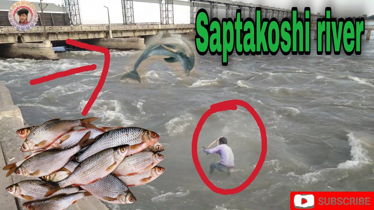 Saptakoshi river nepal..2021//fishing in saptakoshi river... - YouTube