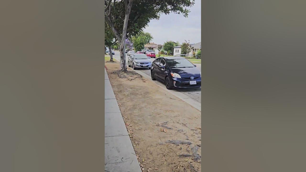 Walking around my neighborhood here in Gardena California | walking exercise | Buhay amerika ...