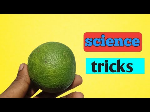 2 Easy Experiments For School ll Easy Science Experiment At Home - YouTube