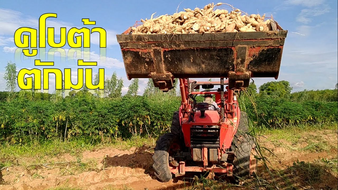 รถไถตักมัน คูโบต้า M9540 cassava harvester (Tapioca) EP. 63 (ถ้าชอบ ฝาก ...