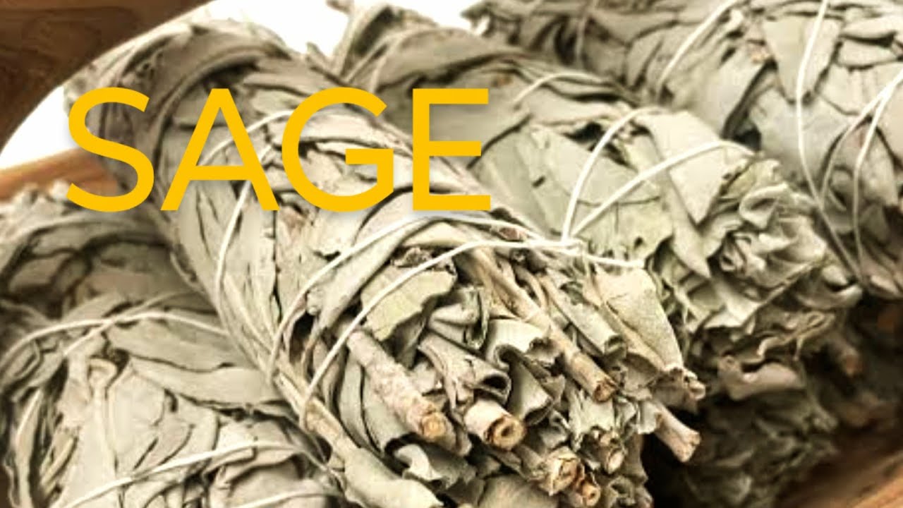 Sage is a powerful way to clear out negative energy. - YouTube