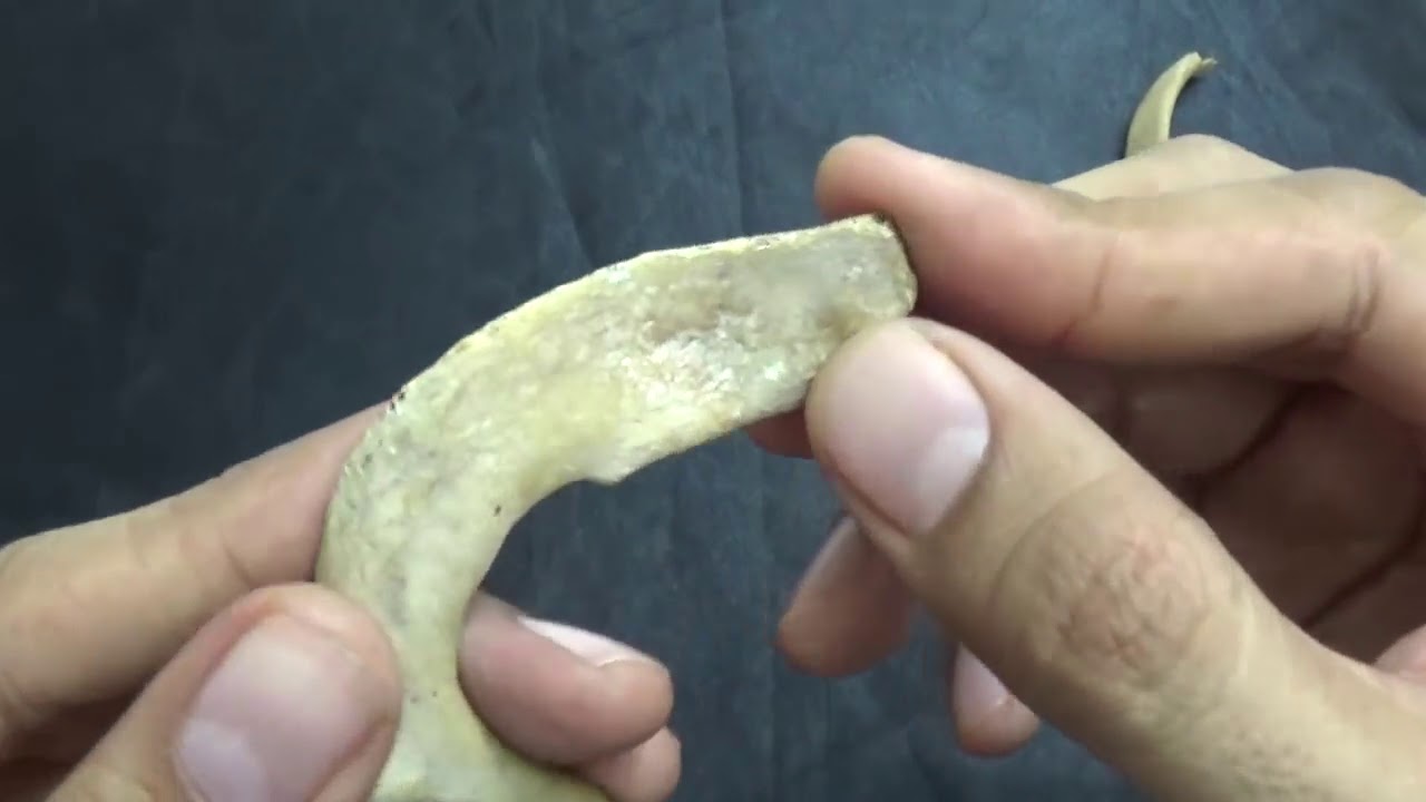 first rib identification and side determination - YouTube