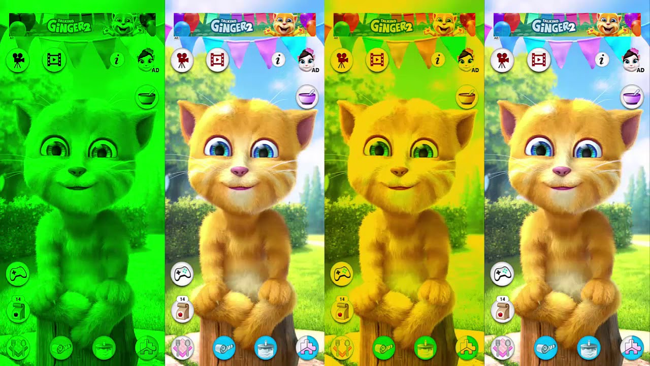 Talking Ginger Colors Funny Colors Movement Ginger Video 5 - YouTube