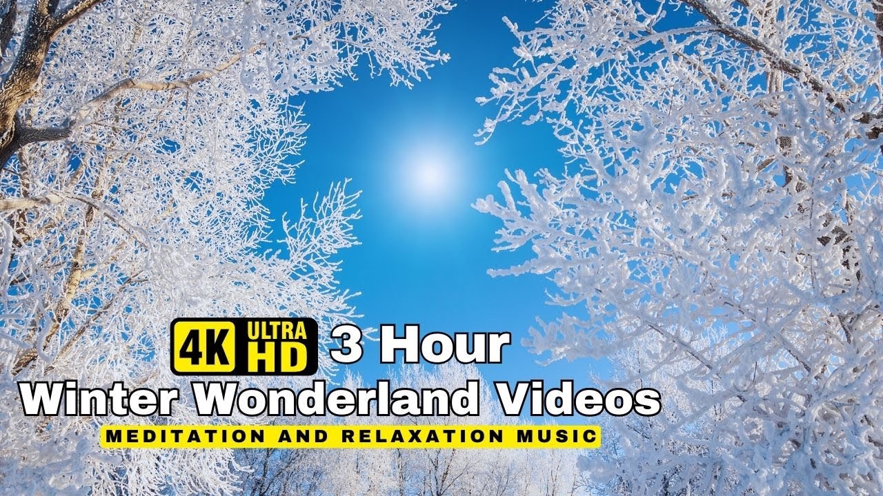 Winter Wonderland With Calming Music for Relaxation and Stress Relief ...