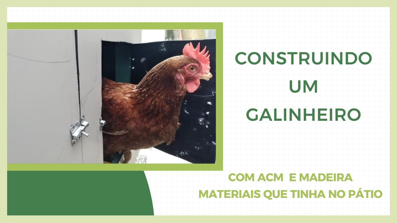 Construindo um galinheiro: transformando materiais do pátio em conforto ...