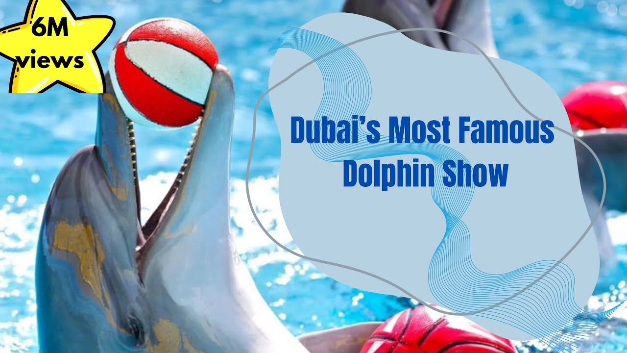 Unveiling The Most Famous Dubai’s Dolphin Show - YouTube