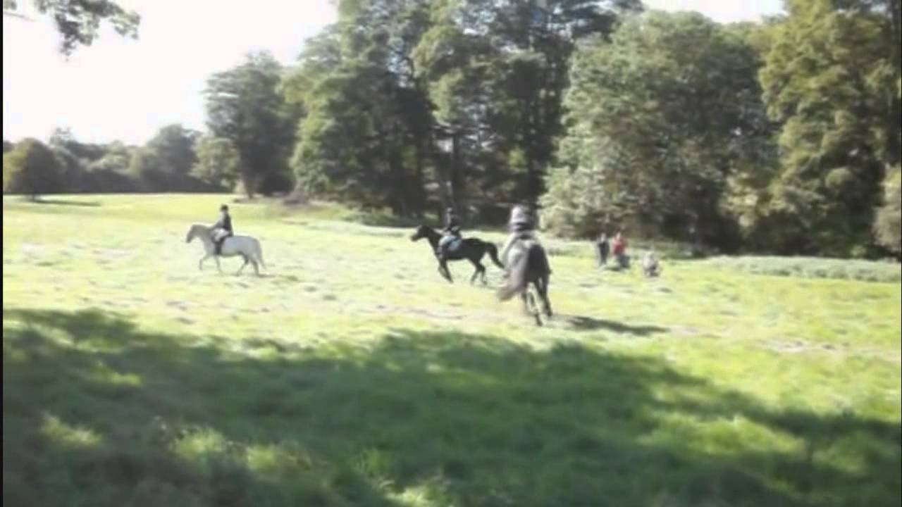 Horse Riding Fails Falls Thrills and Spills [1] - YouTube