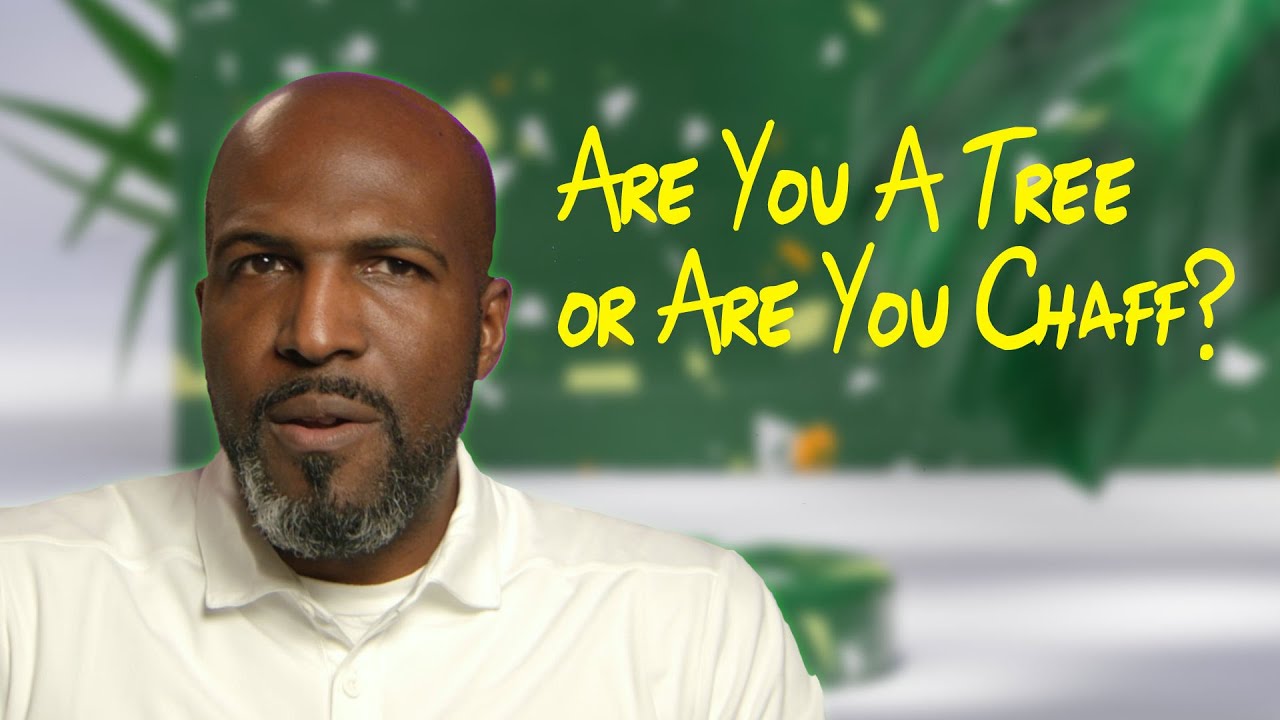 Are You A Tree or Are You Chaff? - YouTube