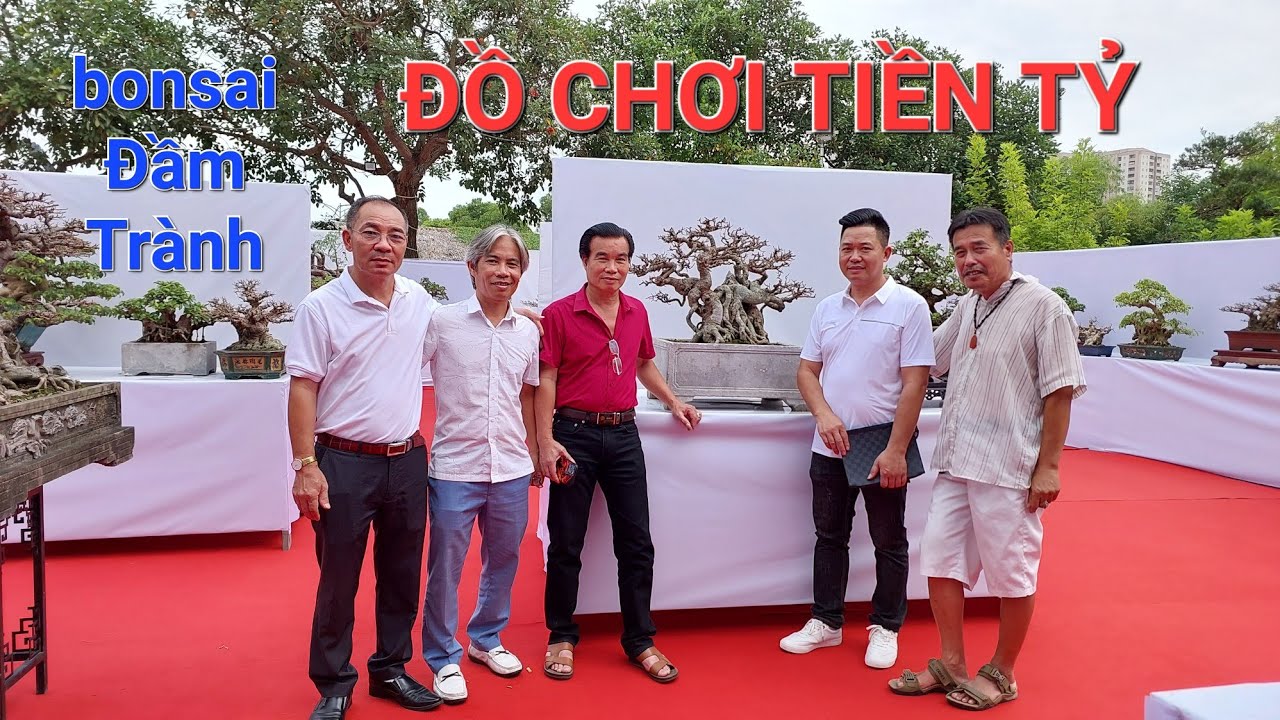 NHỮNG TP SANH , SI CỔ QUÁ ĐẲNG CẤP của anh DŨNG KẸO qua lời bình của ...