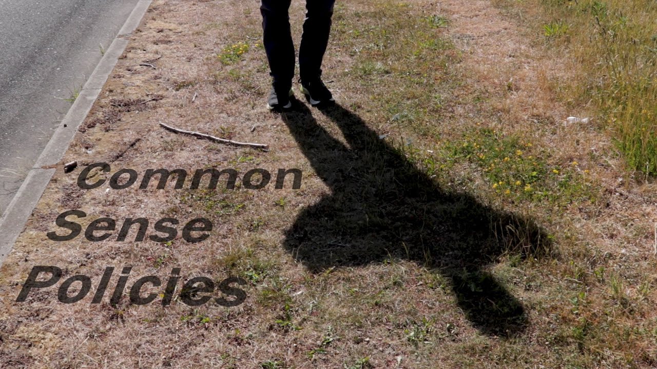 Common Sense Policies (2020) | Short Film - YouTube