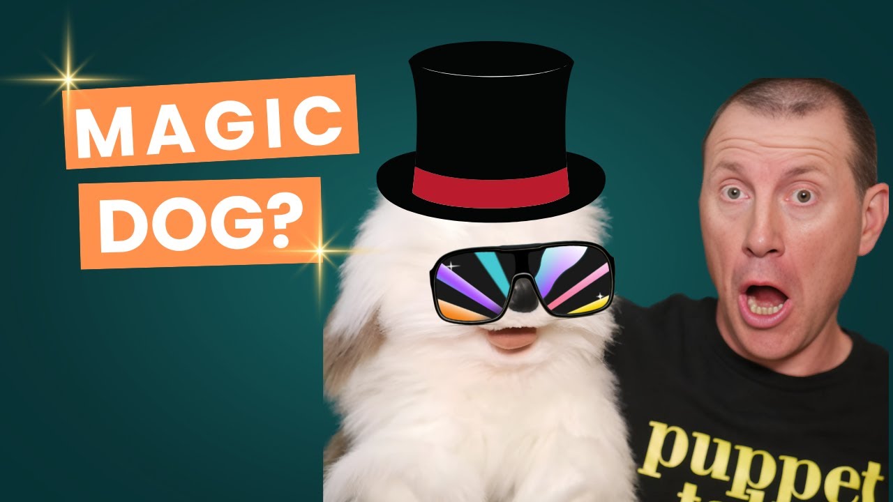 Can My Dog do Magic? | Magician Dog #kidsfun #puppets - YouTube