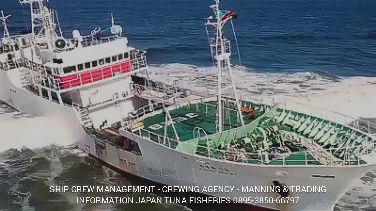 Japanese Frozen Tuna Longline | Kapal Longline Jepang | Fukuseki Maru ...