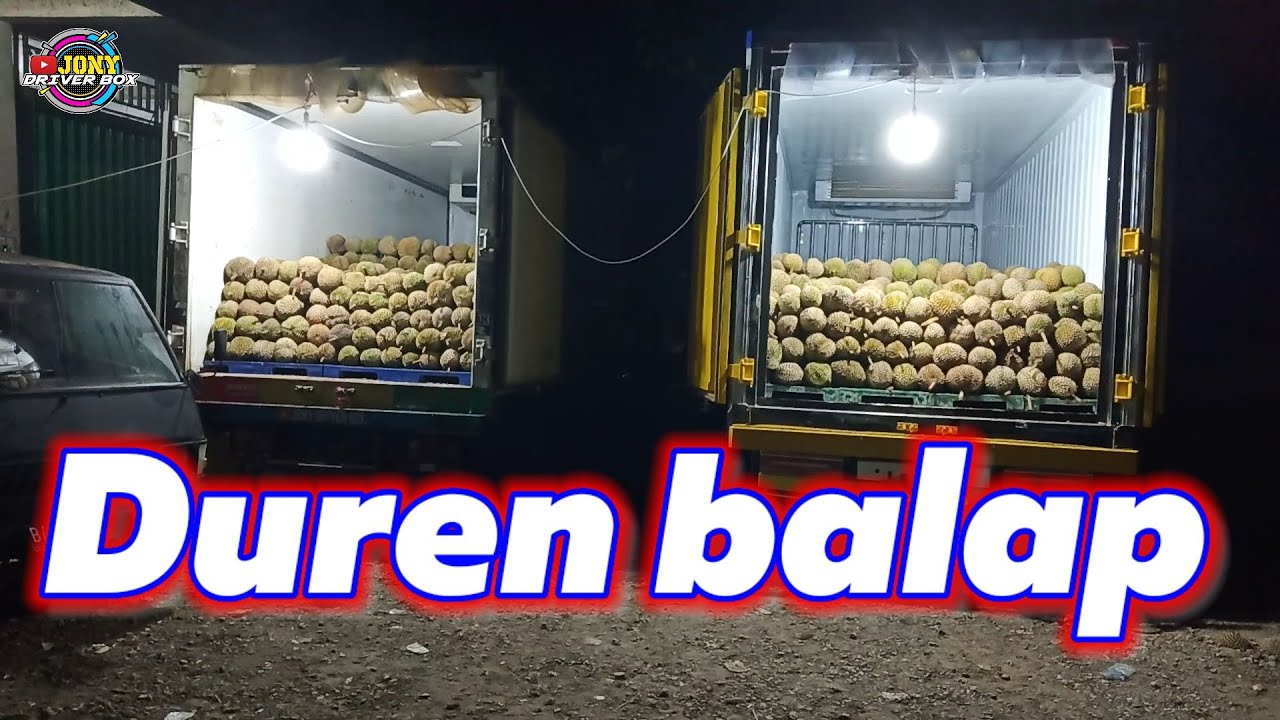 truk-bok-freezer-muat-duren-youtube