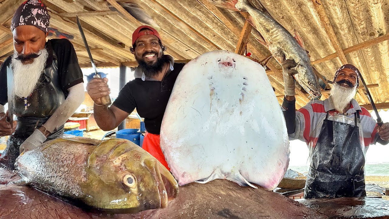 Master Cutters Blow Minds With Cutting Blast – Amazing Fish Skills ...