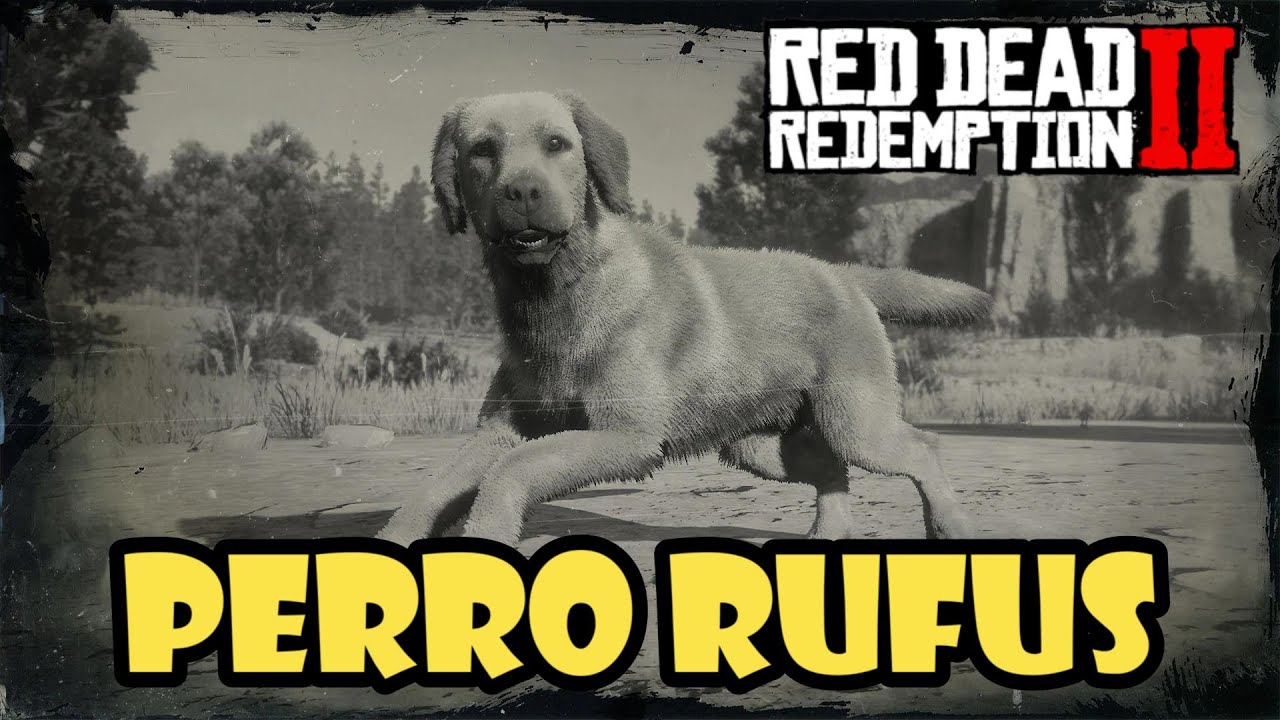 Donde encontrar el PERRO RUFUS en Red Dead Redemption 2 ️ - YouTube