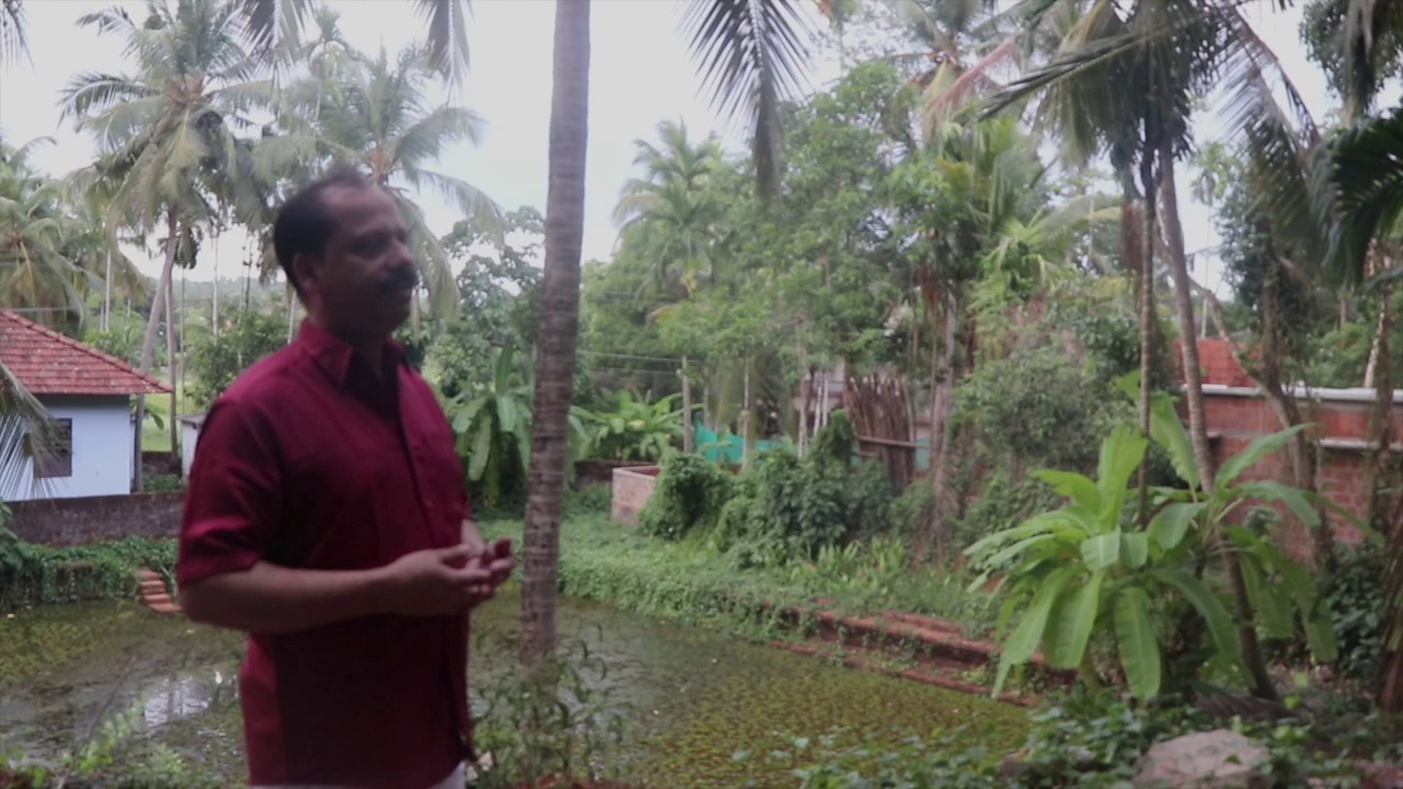 Arayannam dhoothpom kadhayile penkodi | Lalitha Ganam - YouTube