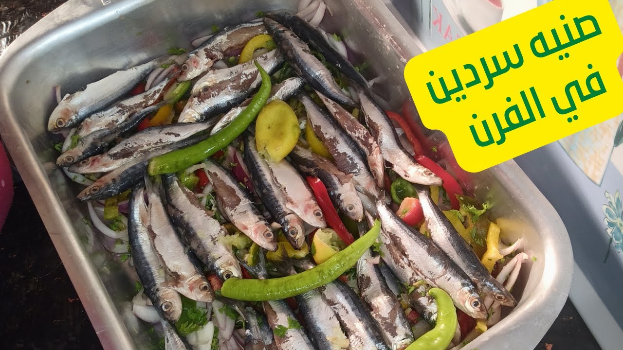 صنيه سردين بلدى في الفرن هتعمليها في دقائق بتبيله روعه 👍 Youtube
