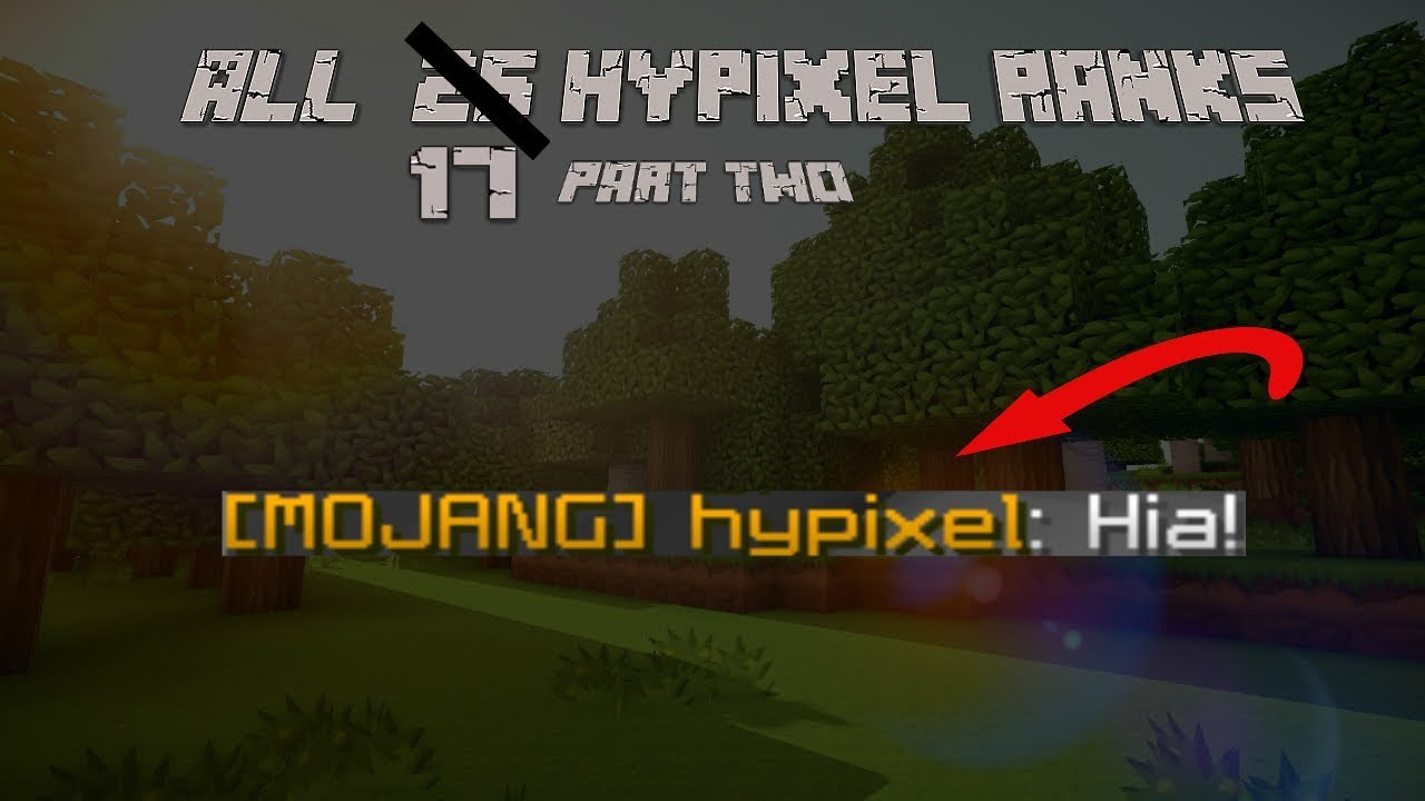 All Hypixel Ranks - Part Two! - YouTube