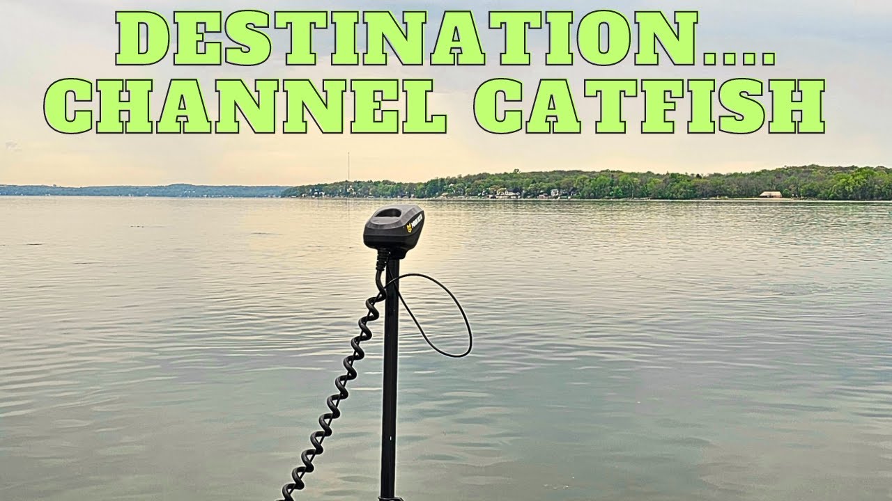 Operation find Dee a 20+ channel catfish engaged 6 channel catfish ...