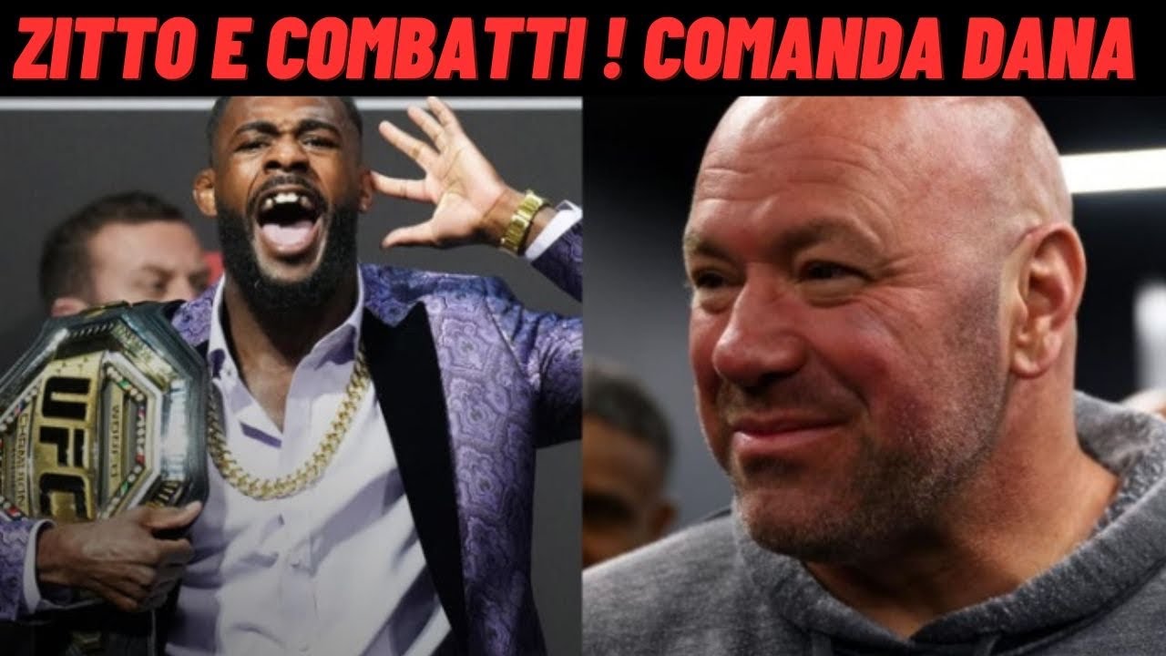 DANA WHITE ZITTISCE STERLING “COMANDO IO” - YouTube