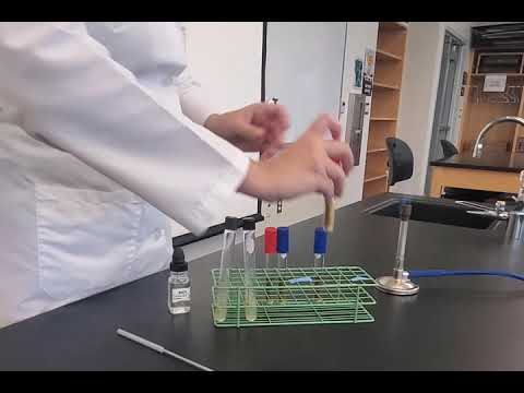 Lab 5-11: Decarboxylase - YouTube