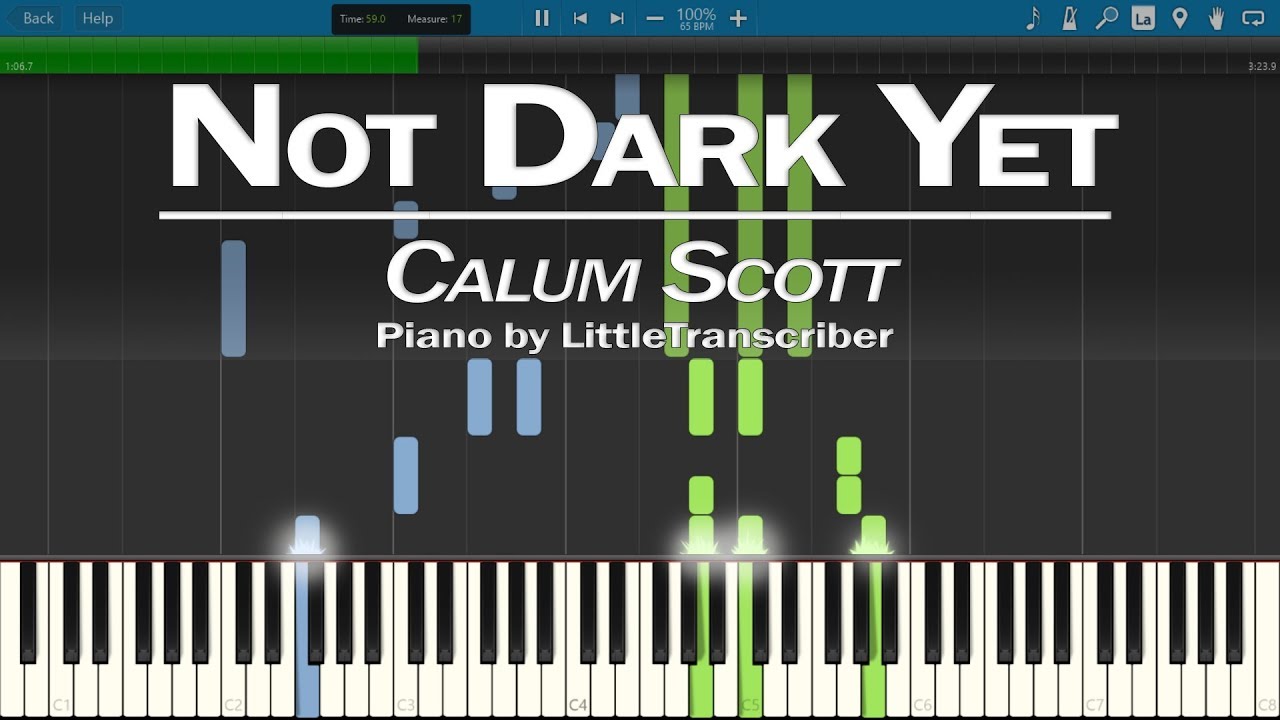 Calum Scott - Not Dark Yet (Piano Cover) by LittleTranscriber - YouTube