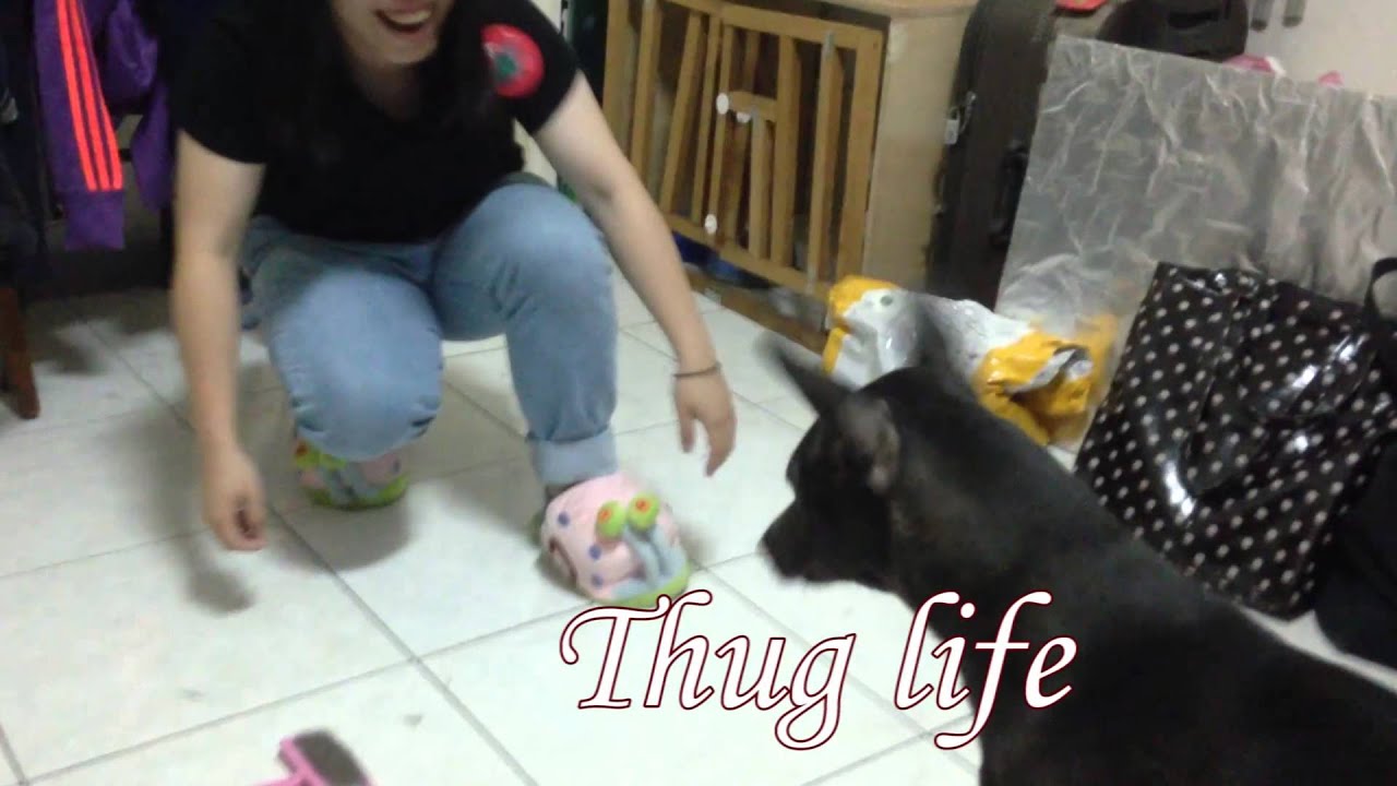 Elsa`s thug life - YouTube