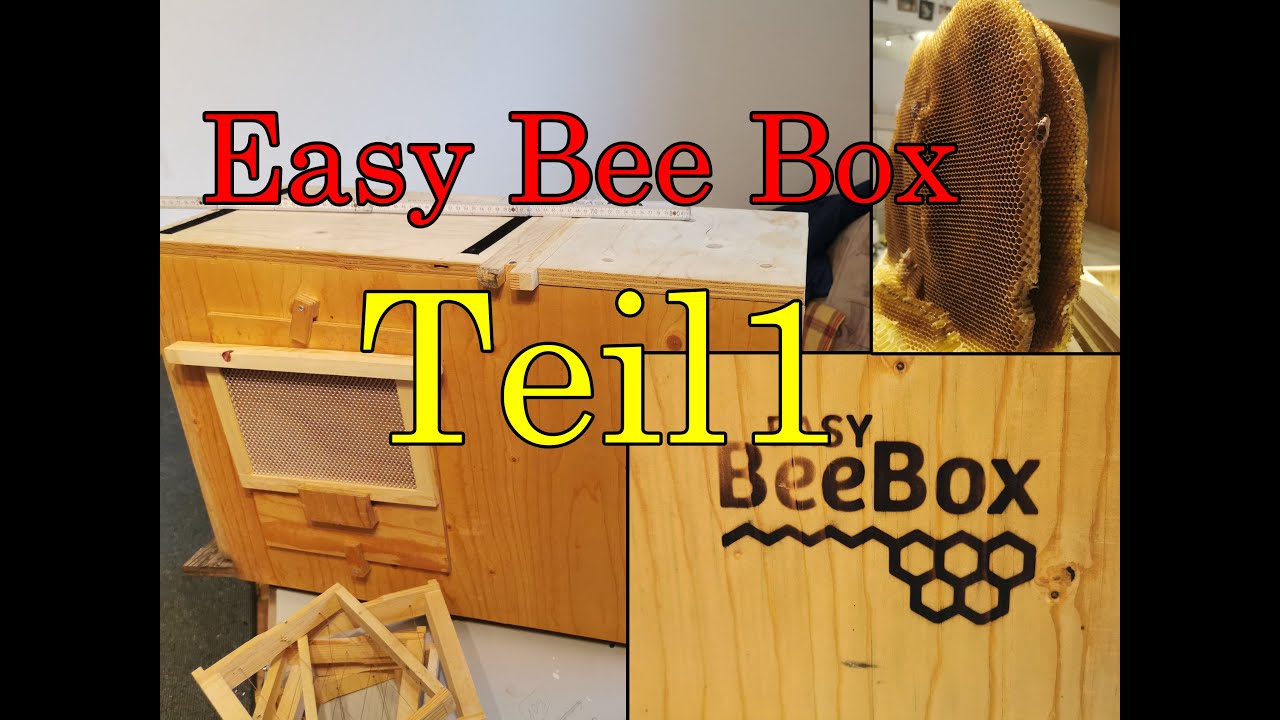 Easy Bee Box Teil 1 - YouTube