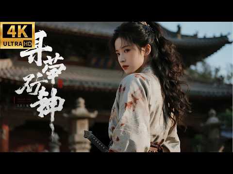 2026必看功夫电影！十个黑衣刺客高手从天而降，没想到被柔弱皇帝一人击杀！⚔️ #KungFu #少林 #功夫 #武俠 #成毅 #张予曦 #chinesedrama