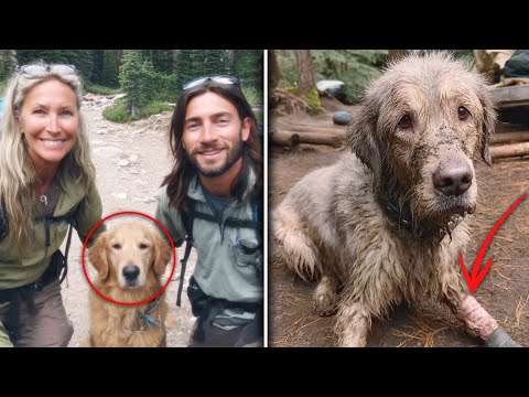 Mutter Und Sohn Verschwanden In Yosemite – 8 Monate Später Kehrt Ihr HUND Mit DIESEM Zurück...