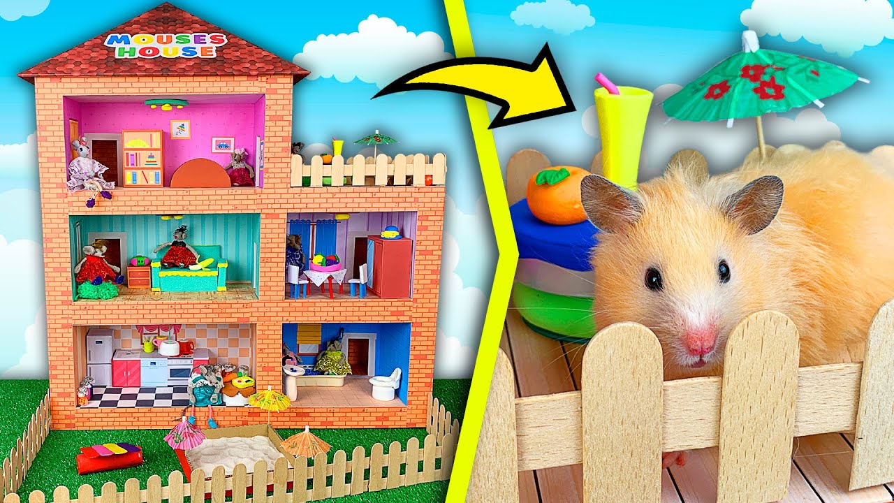 New Cardboard House for Hamster - Mouses House - YouTube