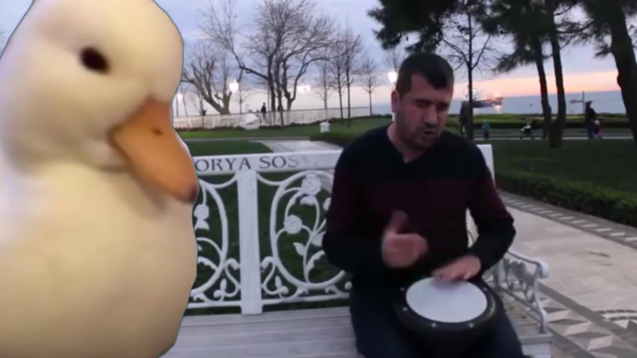 Duck Dancing To Ievan Polkka (Official Video HD) Duck Vibing To Music ...