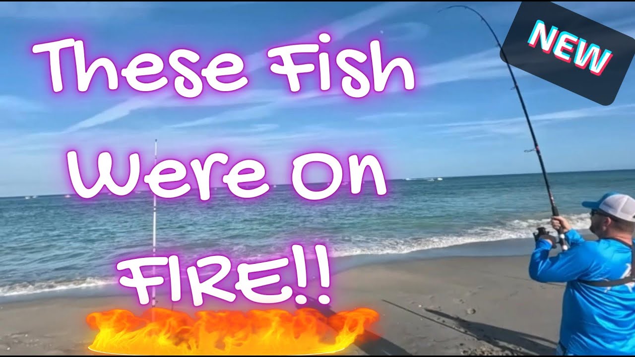 Finally fishing clean water and then... - YouTube