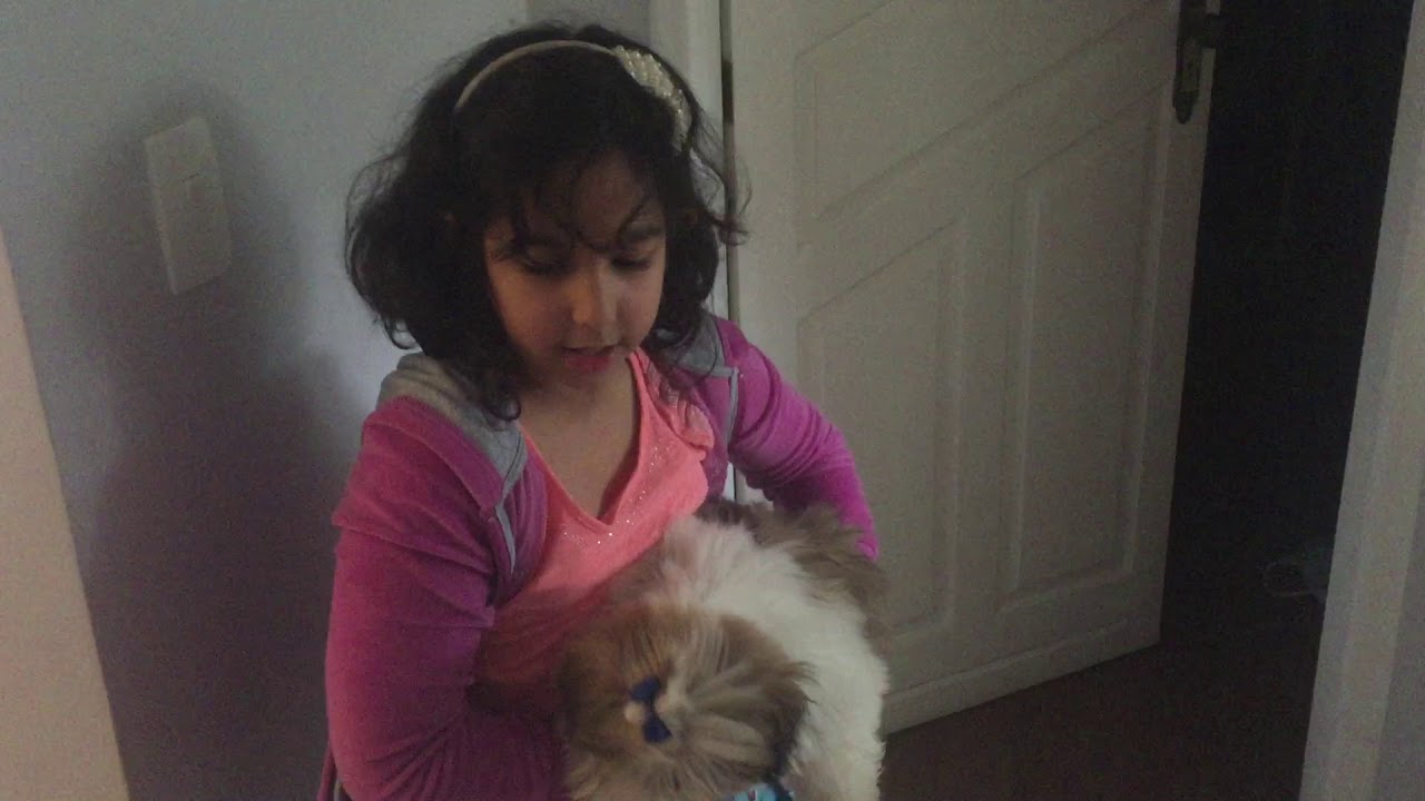 Rebeca dando Adeus pra Catarina - YouTube