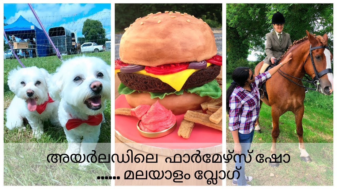 Family fun at Finn valley agricultural show/vlog 8/malayalam vlog from ...