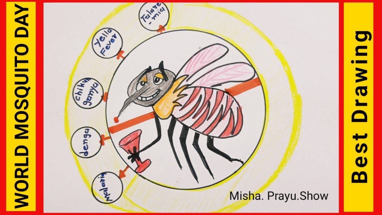 Best Poster Drawing on World Mosquito Day 2021 | How to Draw mosquito ...