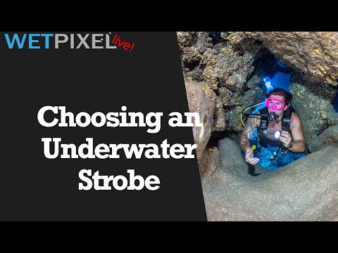 How to Choose an Underwater Flash - YouTube