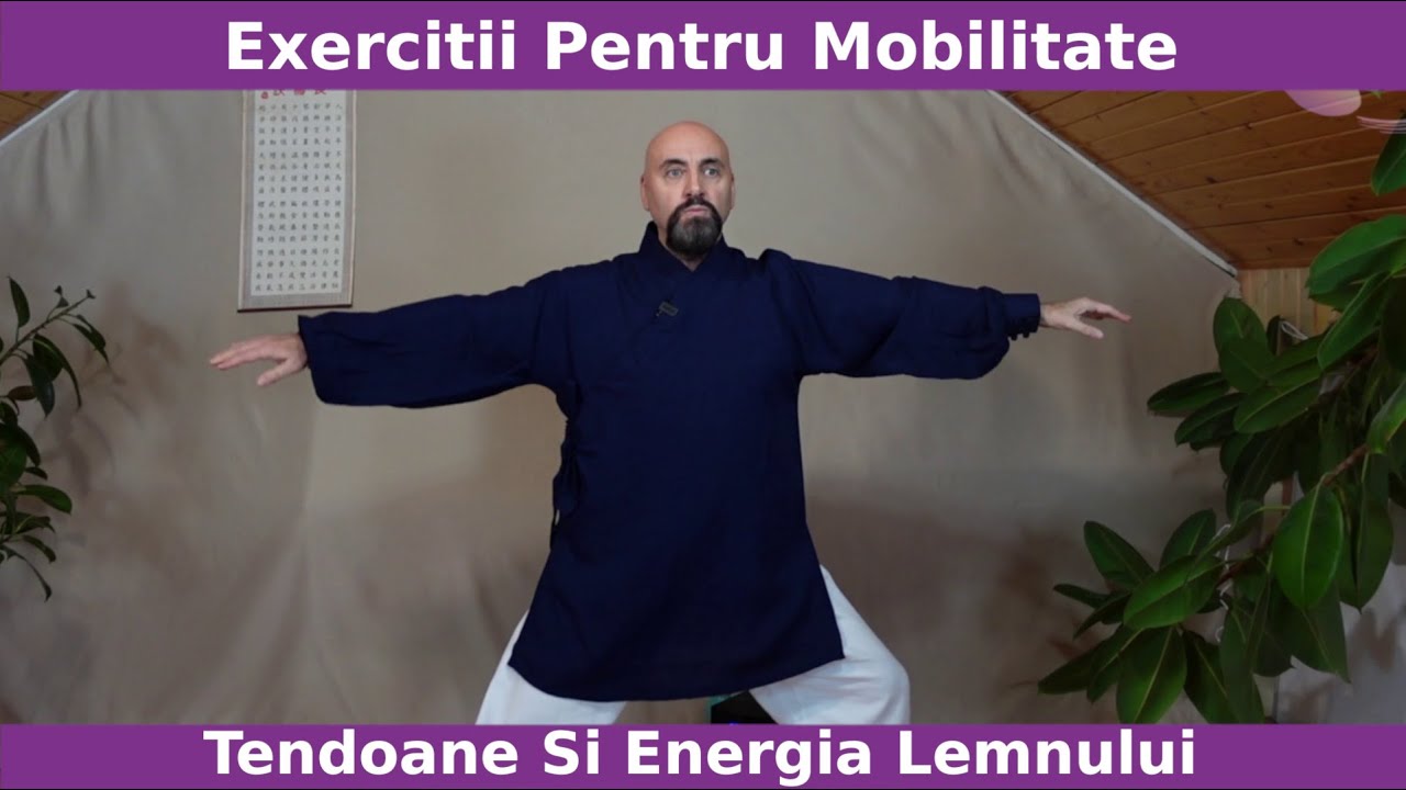 Exercitii Pentru Mobilitate - Aspectul Energetic - YouTube