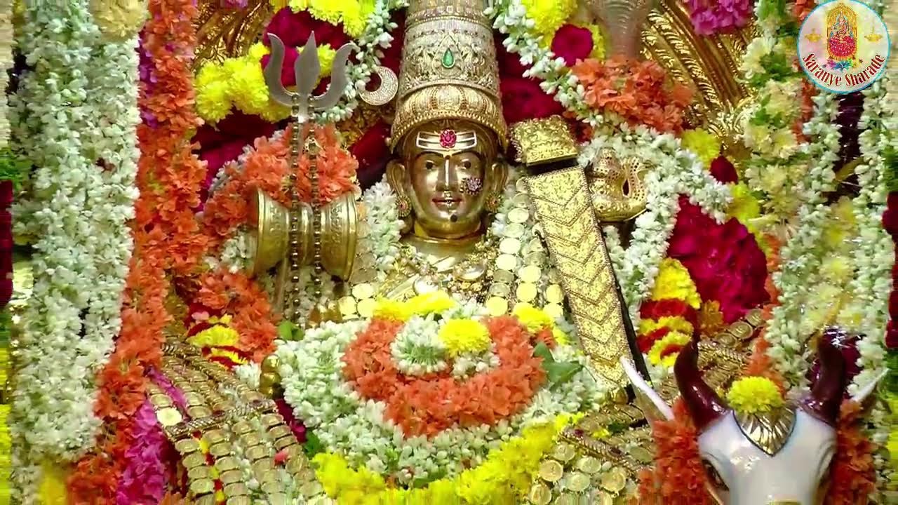 Rathostavam of Saradamba Devi and Ashtavadhanula Seva of Brahmi ...