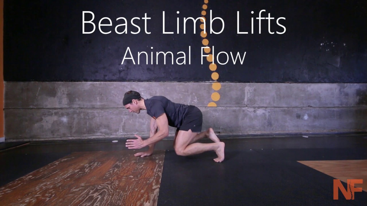 Animal Flow - Beast Limb Lifts - YouTube