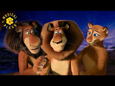 Moto Moto Explores Africa \