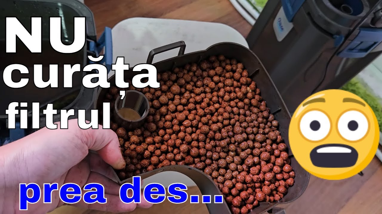 Curățirea filtrului CUM, CÂND, DE CE (Filtrul extern al acvariului ...