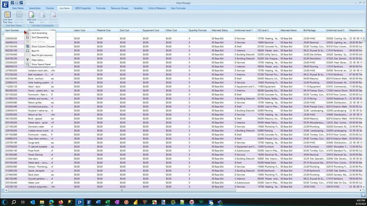 Configuring Line Item Table View in DESTINI Data Manager - YouTube