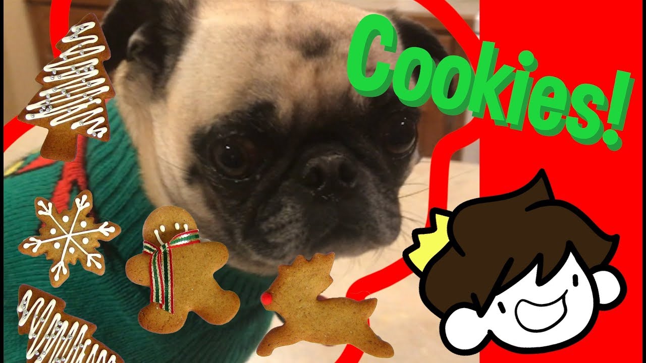 My Pug and I Make Christmas Cookies! - YouTube
