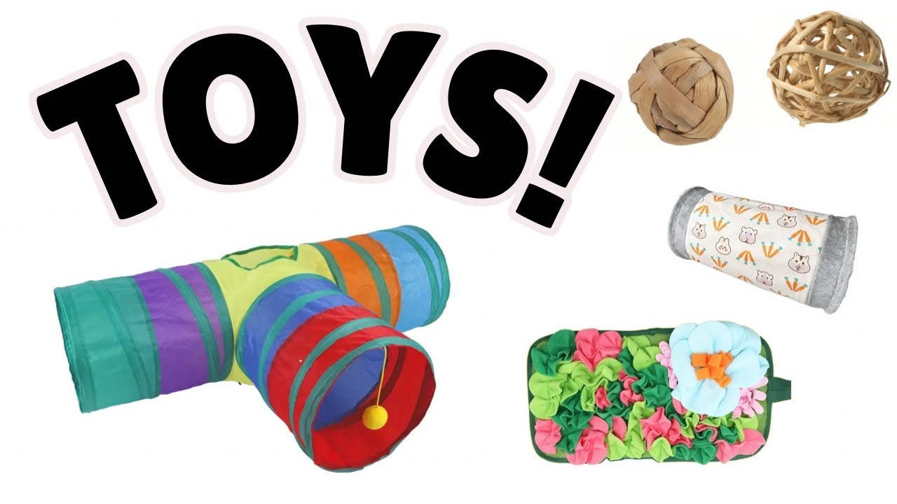 Rabbits Tried TEMU’S “WORST RABBIT” Products - YouTube