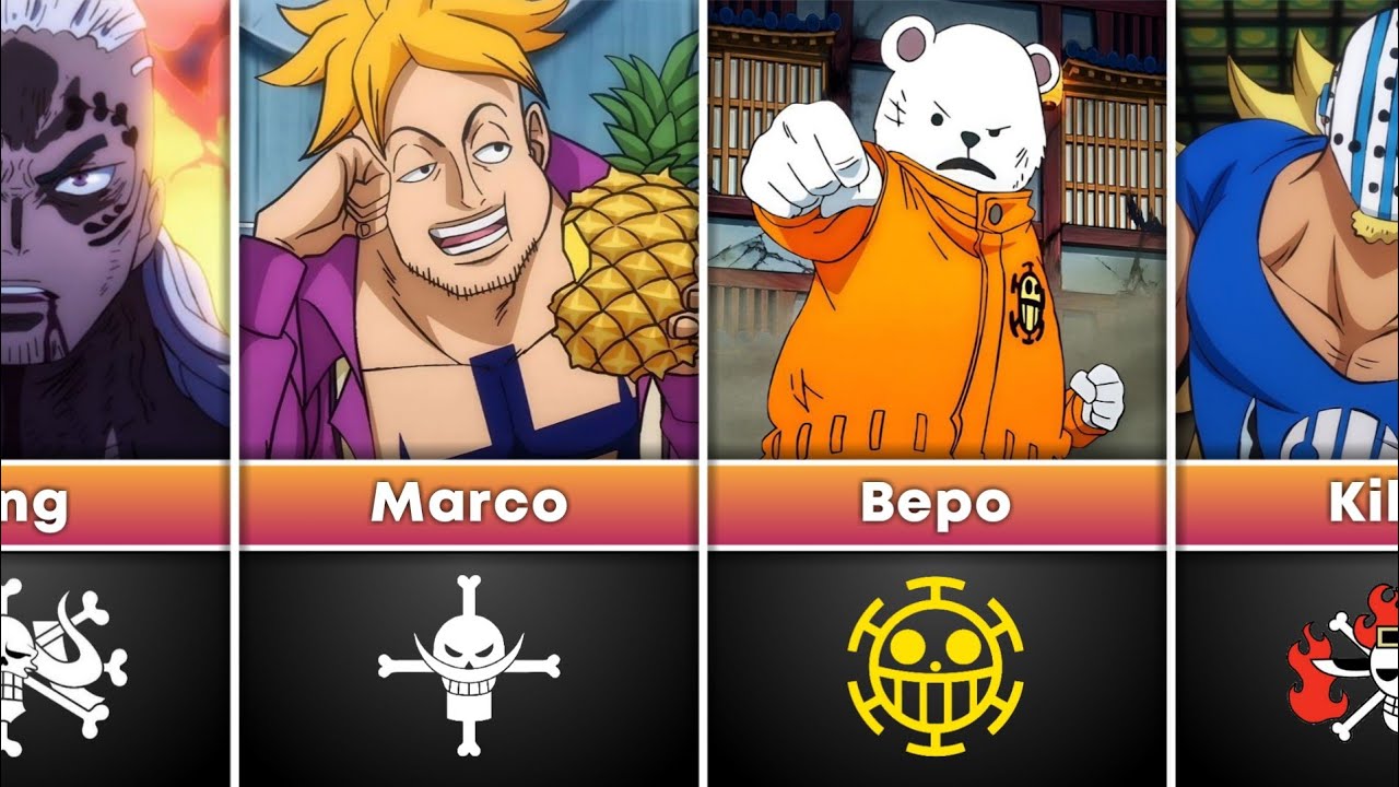 List Of Right Hand Or Vice Captains Of Pirates And Marines In One Piece ...