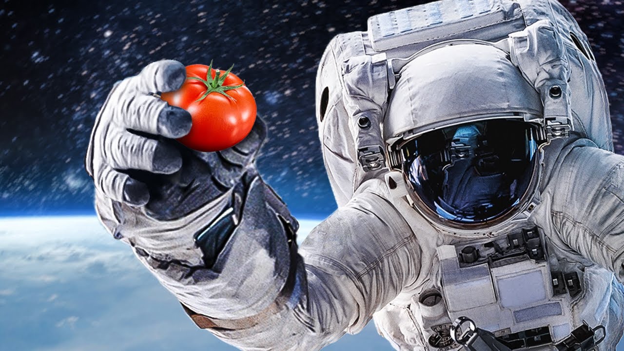 The Mystery of the Lost and Found Space Tomato - YouTube