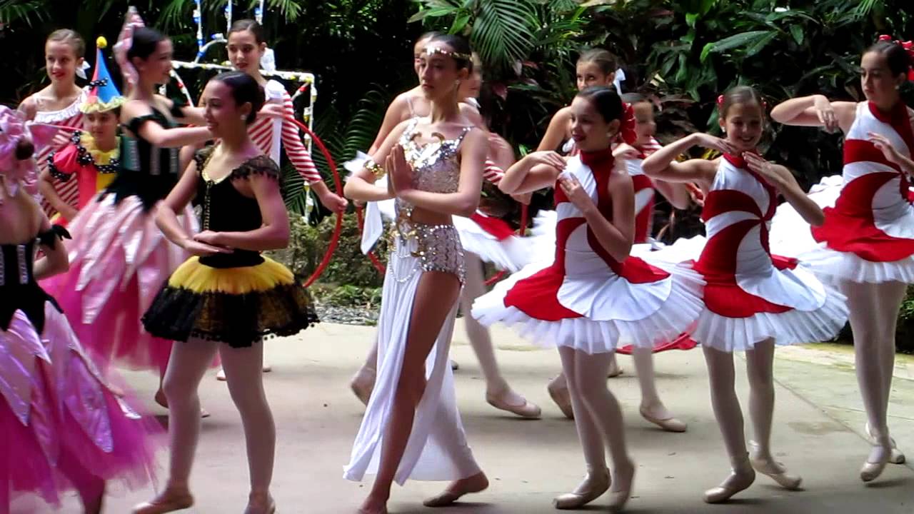 MVSA 2012 Nutcracker Performance Finale - YouTube