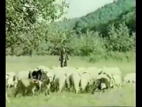 Pir Sultan Abdal (Kalsın Benim Davam Mahşere Kalsın)