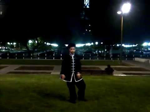 The King of Kung Fu——Zang Hang